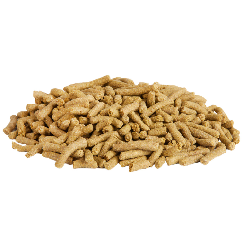 Aquatic Turtle Sticks | Reptile Food | Zilla